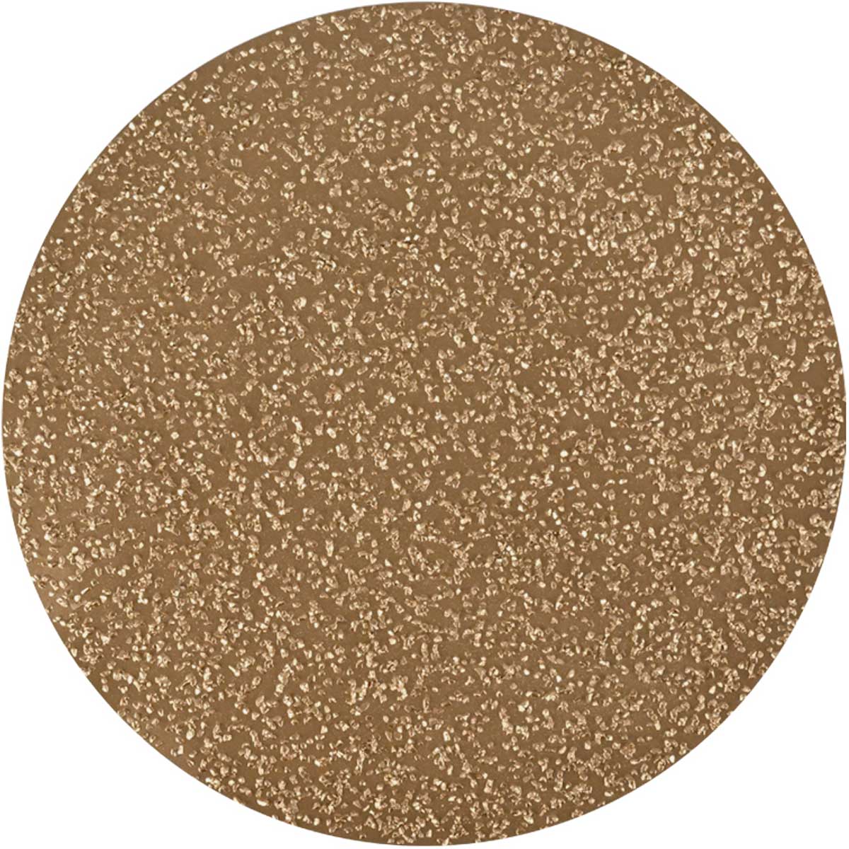 24 Grit Tungsten Carbide Sanding Disc (2) – TapeTech Tool Company